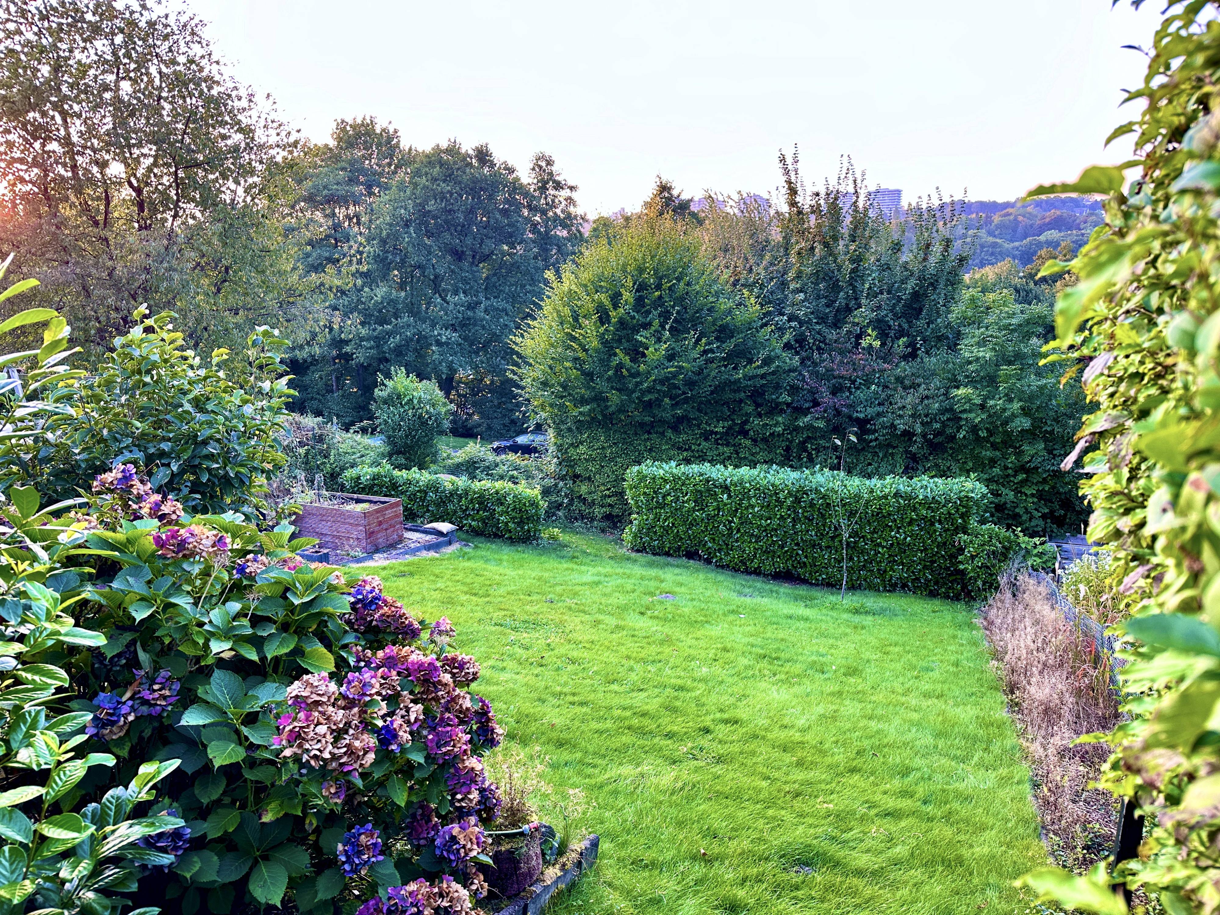 Kleingarten Bochum Freie Garten